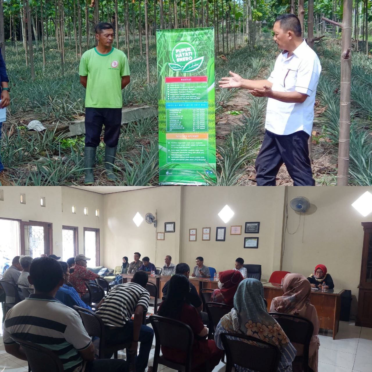 SOSIALISASI PENGGUNAAN PUPUK HAYATI ENERO – PT Energi Agro Nusantara